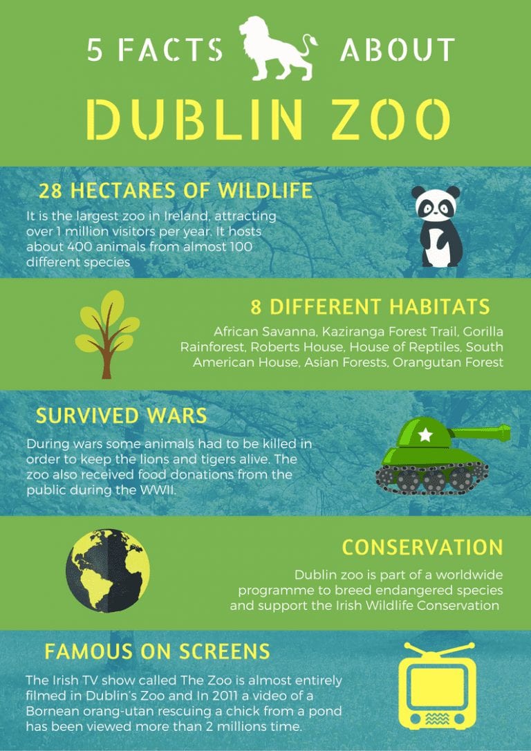 5 Facts About Dublin Zoo | The Mont